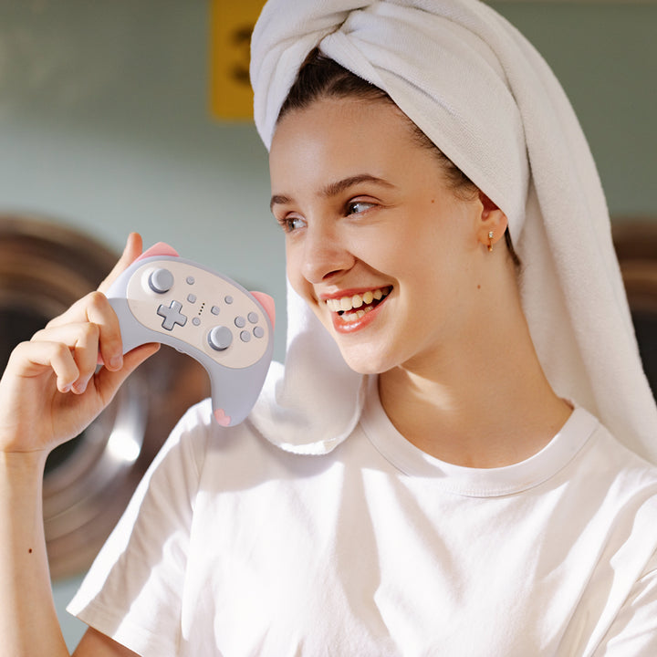 Controller – IINE Official Store